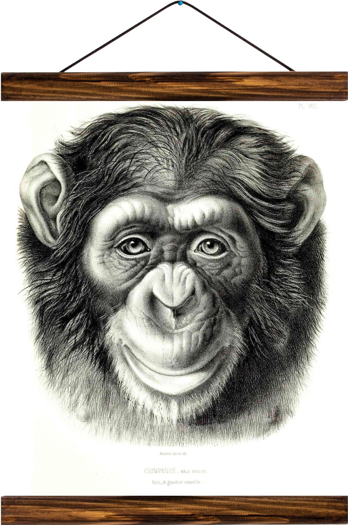 Chart173_1200x1808.jpg?v=1610813934